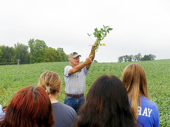 Theft can’t deter corn harvest | News, Sports, Jobs - Altoona Mirror